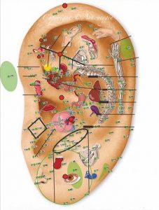 Ear-chart-detailed | Acuenergie